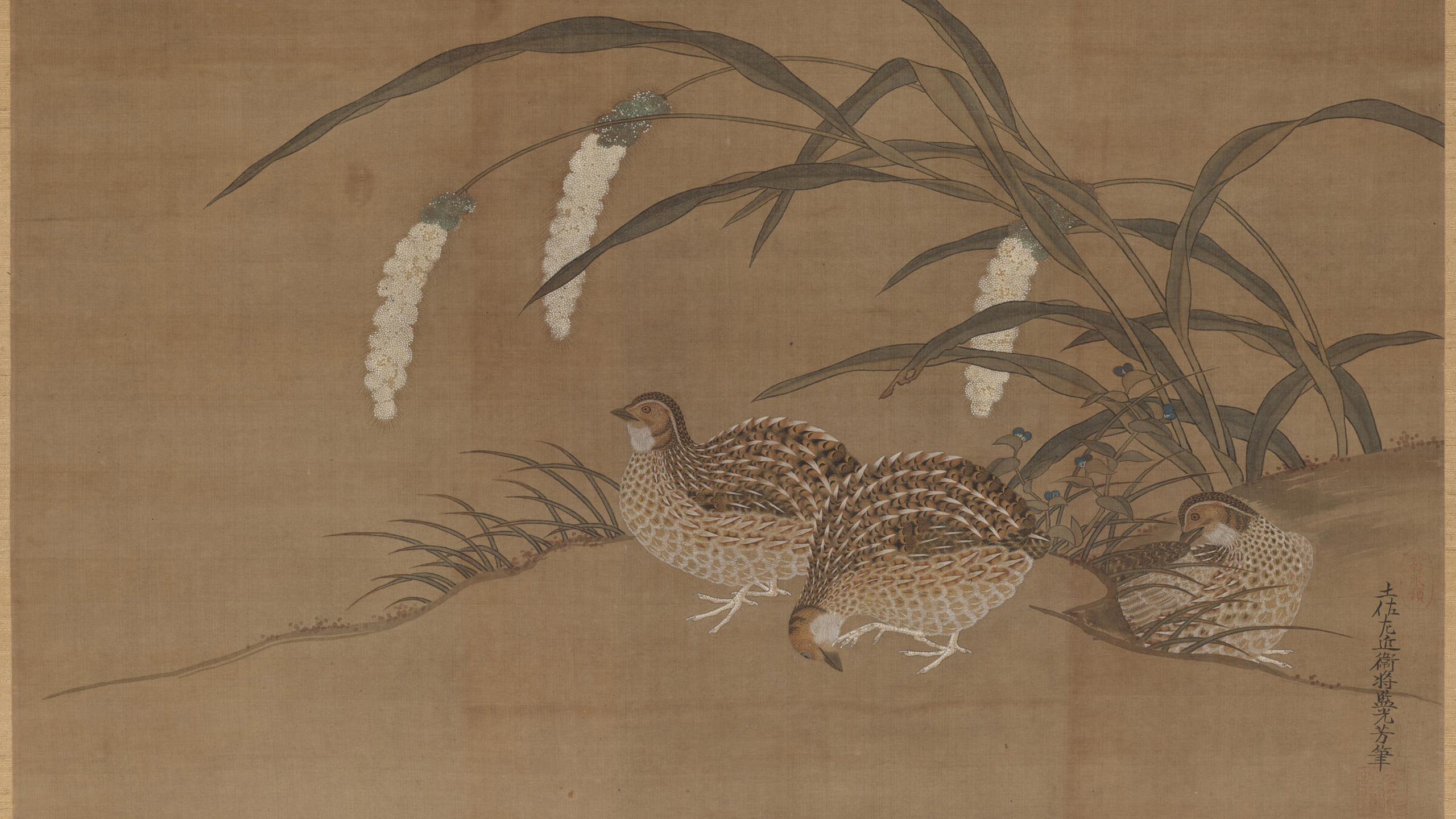 Beautiful, Bountiful, Boisterous Birds - Exhibitions - Asian Art Museum
